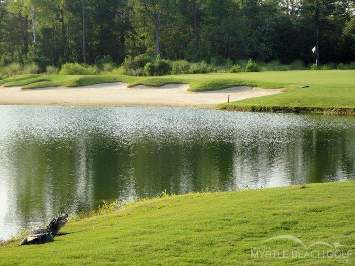 Cape Fear National Golf Course in North Carolina