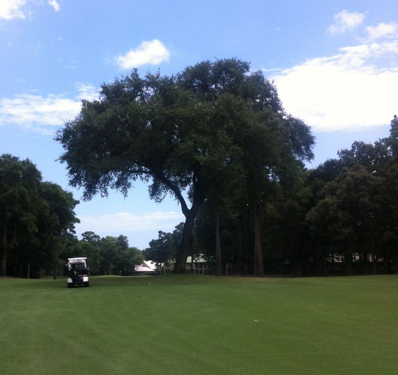 Pawleys Plantation Golf Course in Pawley's Island, SC