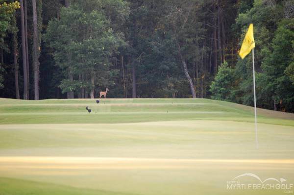 (TPC) Tournament Players Club Golf Course (Myrtle Beach Area)