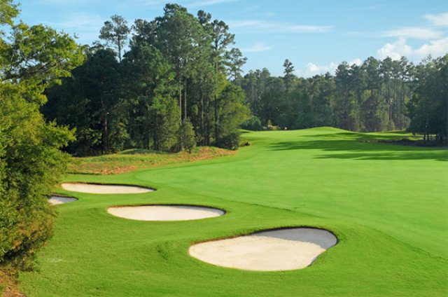 Wild Wing Golf Course in Conway, SC